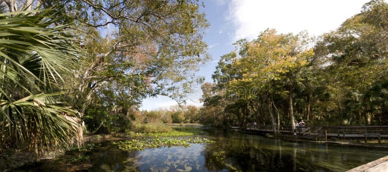 Panorama of Natural Spring in Florida Stock Photo - Image of national ...