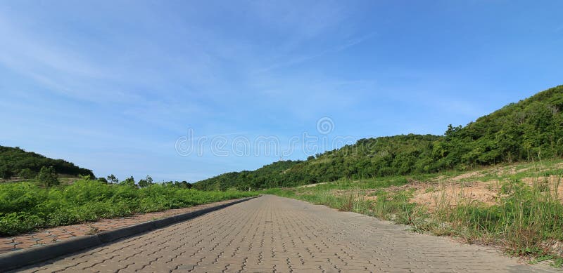 Panorama of the Nature and Environment, Pathway in the Beautiful Green ...