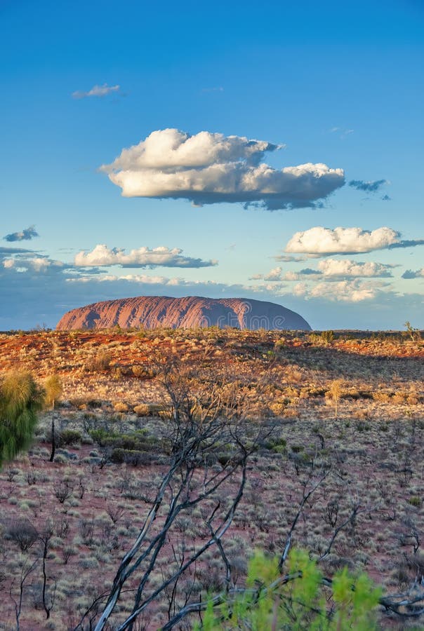 Panorama of Outback Landscape at Sunset in Northern Territory ...