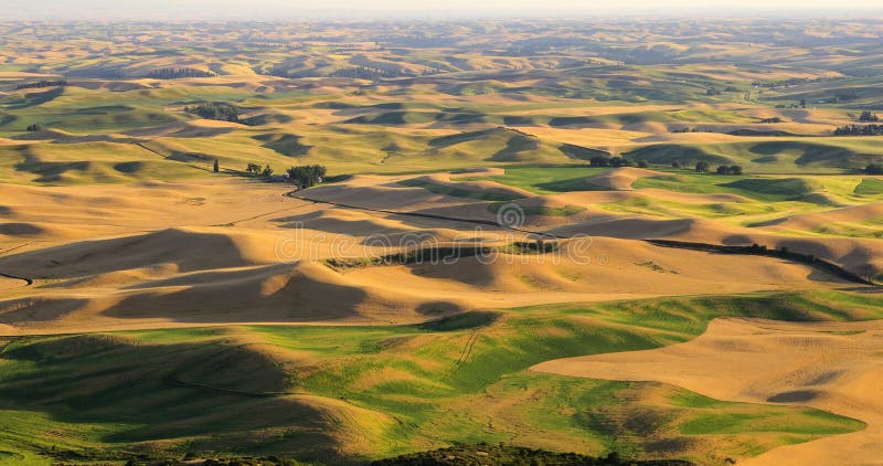 Panorama of Palouse, Washington State Stock Photo - Image of meadow ...