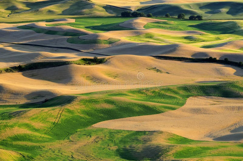 Panorama of Palouse, Washington State Stock Image - Image of field ...