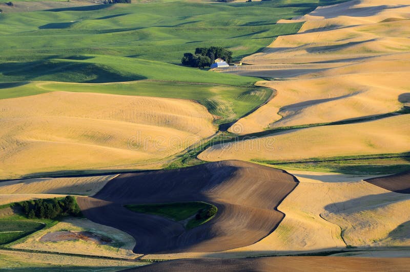 Panorama of Palouse, Washington State Stock Image - Image of background ...