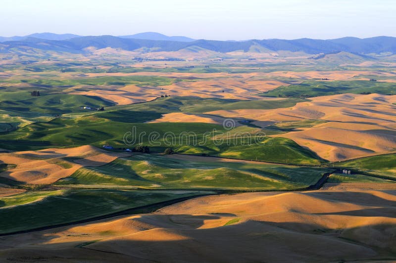 Panorama of Palouse, Washington State Stock Image - Image of abstract ...