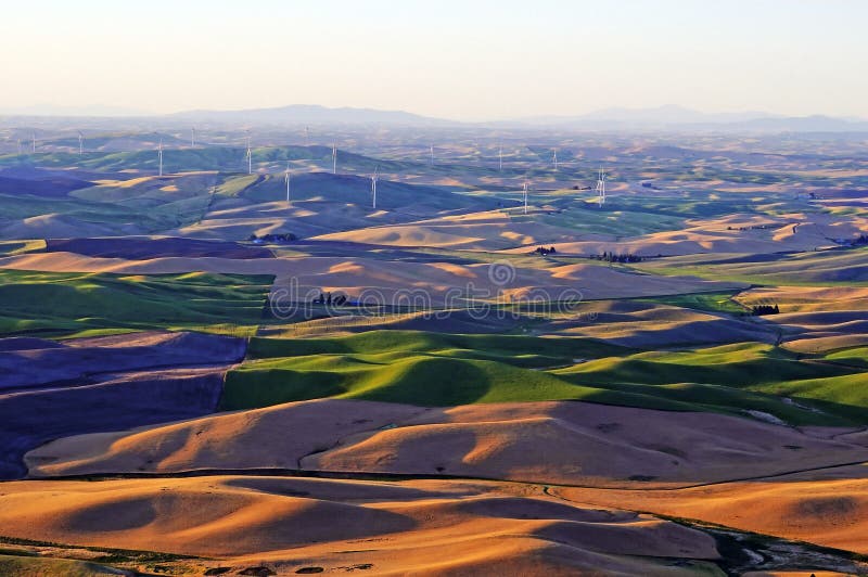 Panorama of Palouse, Washington State Stock Image - Image of colour ...