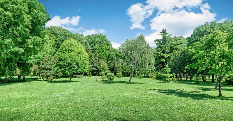 Panorama of Park and Garden with Grass on Lawn and Green Trees in ...