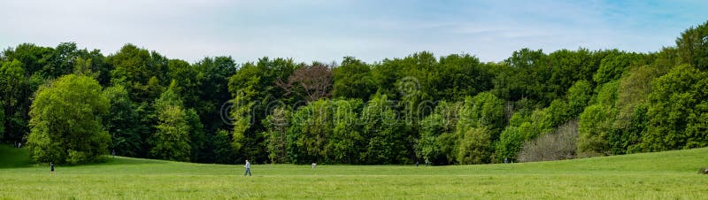 Panorama of a Park, Trees Behind a Green Meadow Stock Photo - Image of ...