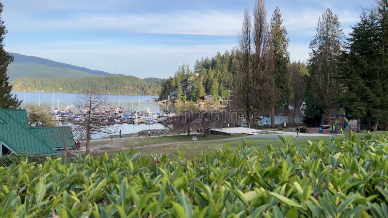 Panorama of the Park with Lake and Fountains Stock Video - Video of ...