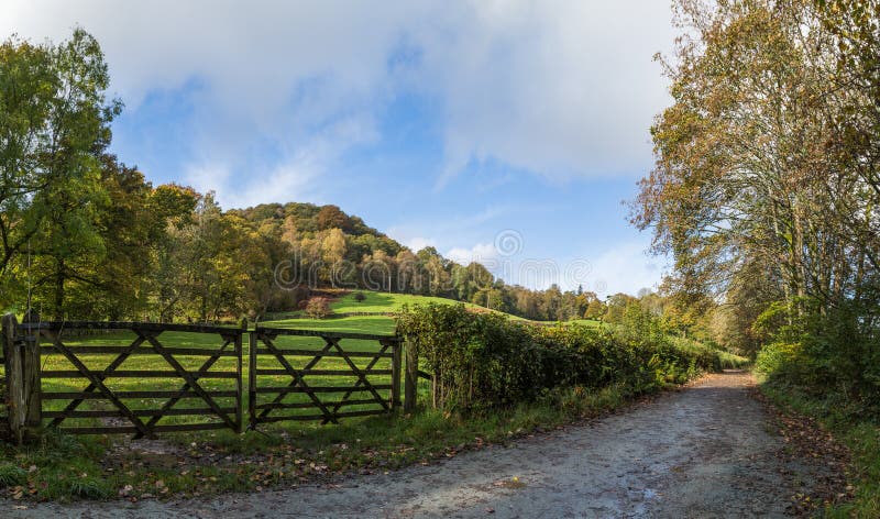 Panorama of a Pathway in the Lakes Stock Image - Image of leaves, green ...
