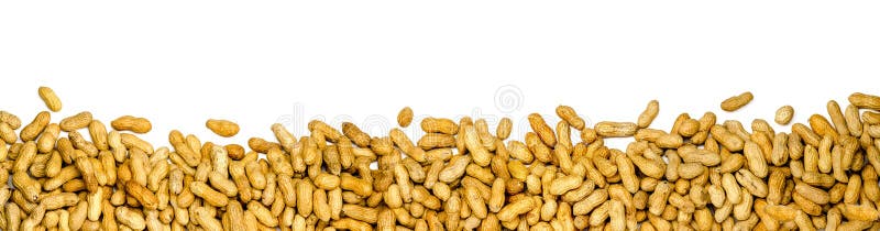 417 Peanuts Border Stock Photos - Free & Royalty-Free Stock Photos from ...