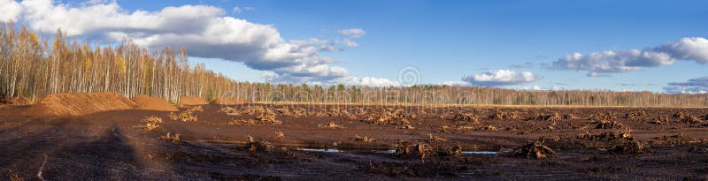 Peat field stock photo. Image of landscape, outdoors - 42440964
