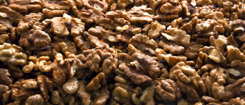 Panorama of peeled walnuts stock image. Image of panorama - 131842913