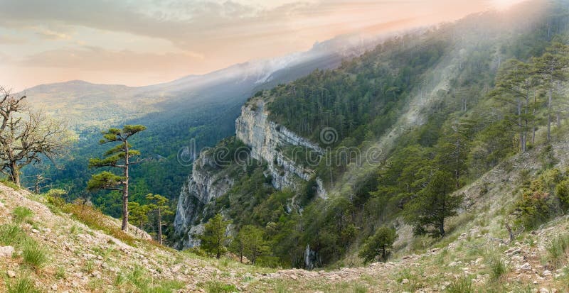 Panorama of the Precipitous Hillside with Forest at Sunset Stock Image ...
