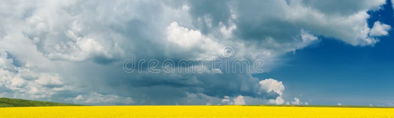 Panorama of field stock image. Image of panoramic, green - 5183037