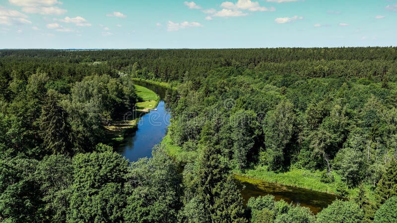 Panorama of River and Forest. Stock Photo - Image of lithuania, tree ...