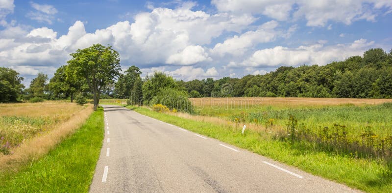 Panorama of a Road through the Nature Area of Balloerveld Stock Photo ...