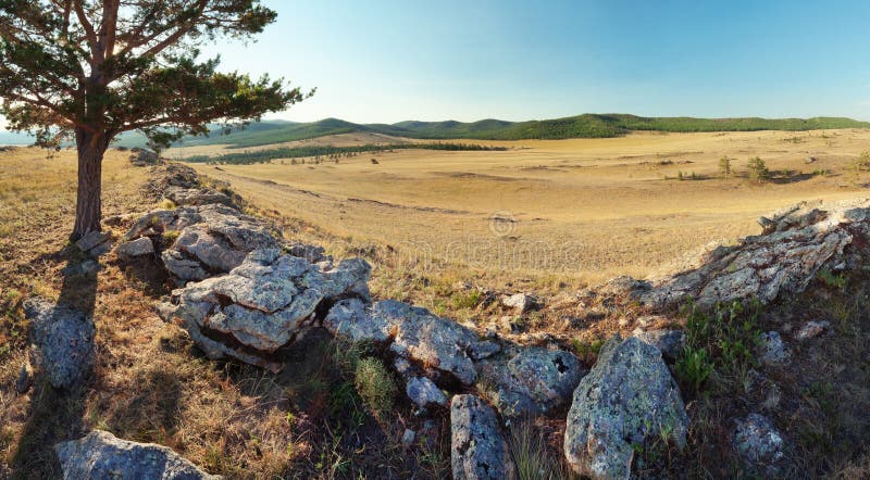 Panorama with Rocks and Pine Tree Stock Photo - Image of water, travel ...