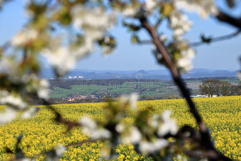 Panorama of Rocks in the Saxon Switzerland Reserve in Germany Stock ...