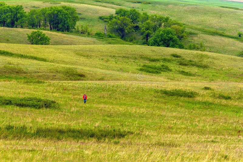 Panorama of Rolling Plains on a Sunny Day Stock Image - Image of ...