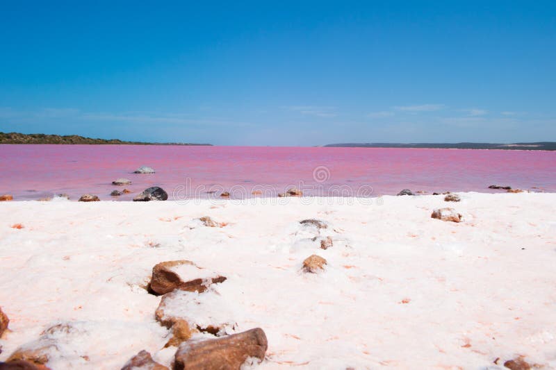 Panorama Rosa Australia Del Lago Immagine Stock - Immagine di ...