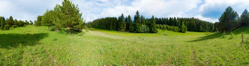 Panorama of rural field stock image. Image of farmland - 187494105