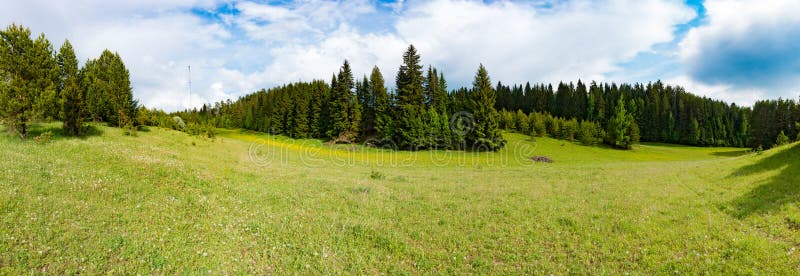 Panorama of rural field stock image. Image of panorama - 187505669