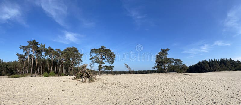 Panorama from the Sahara Ommen Stock Photo - Image of landscape ...