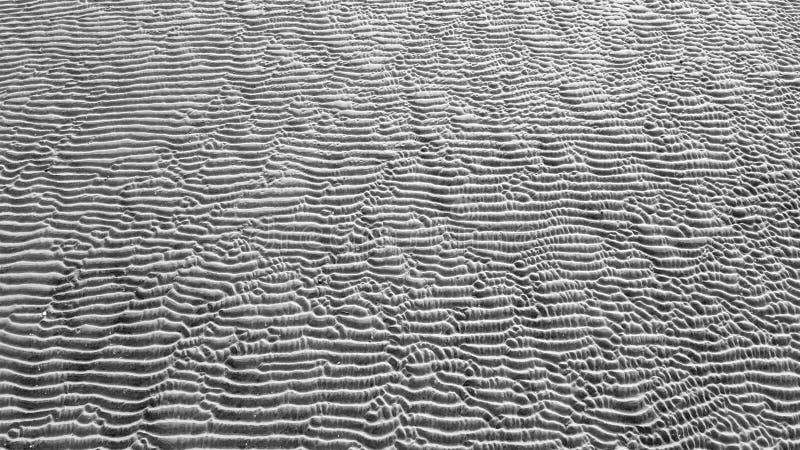 Panorama Sand Texture, Wave Abstract Lines. Abstract Monochromatic Sand ...