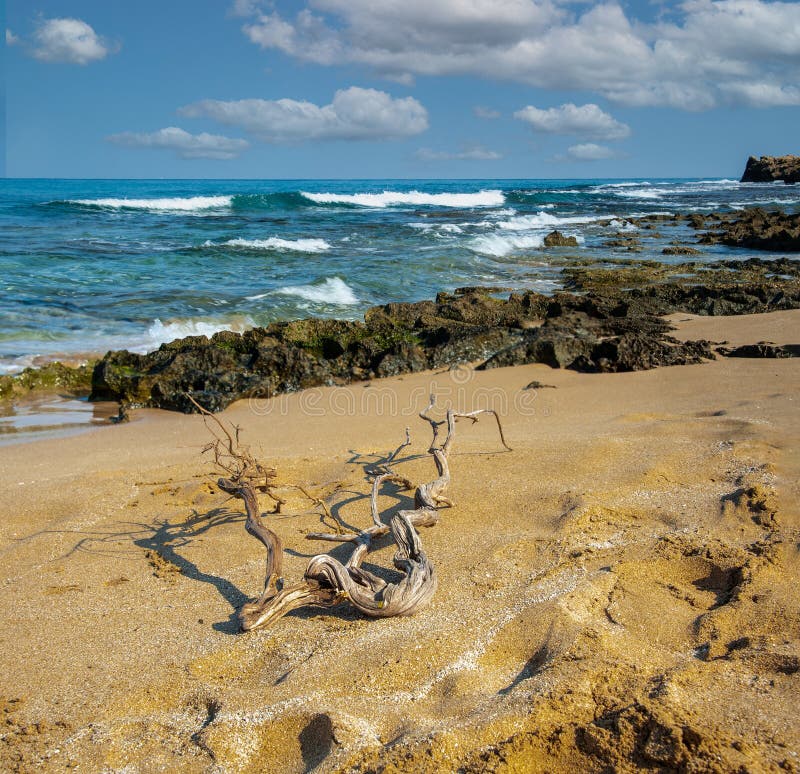 Panorama of the Sea with Coastal Rocks Stock Photo - Image of ...