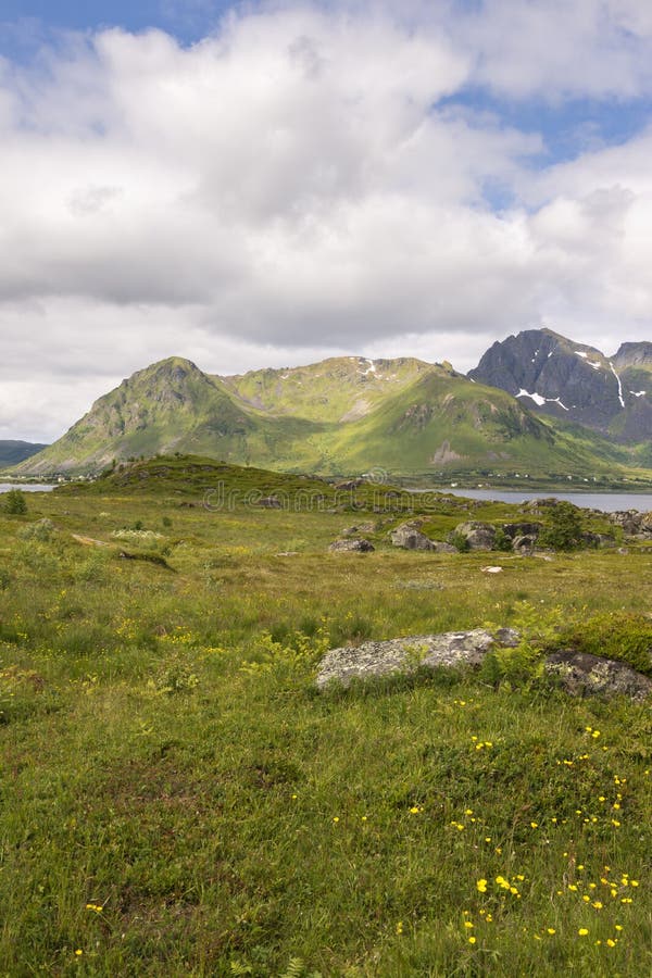 Overview in Eggun in Norway Stock Photo - Image of lofoten, eggum ...