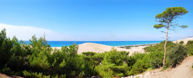 Panorama sea-view stock image. Image of tree, seascape - 7905997