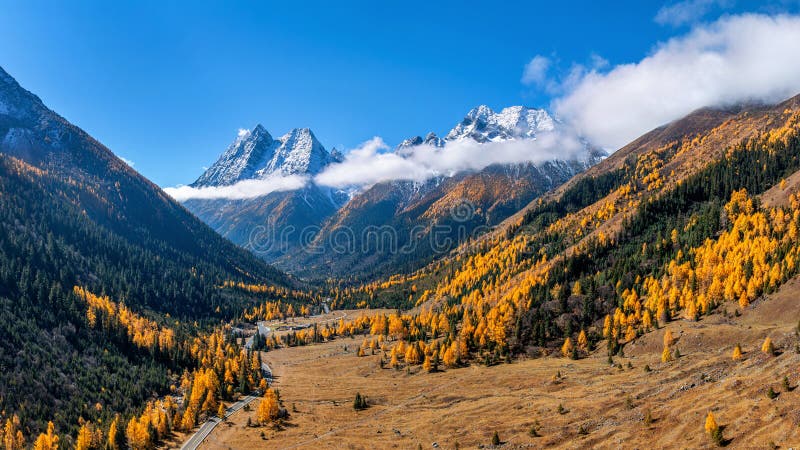 Panorama of Siguniangshan in Autumn, Sichuan in China Stock Image ...