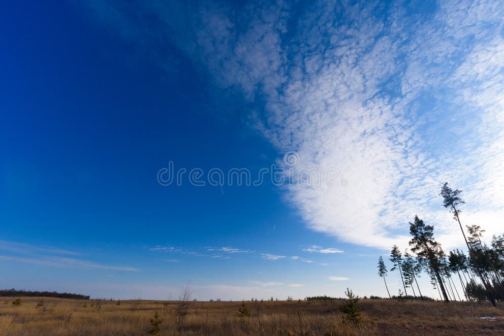 Panorama of the Sky Over the Fields in Spring. Blue Sky with Clouds ...
