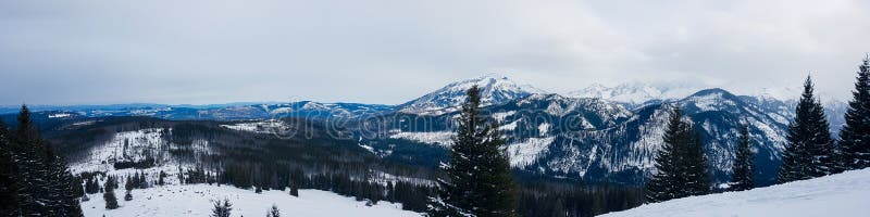 Panorama of Snow-capped Mountains, Snow-covered and Pine- Covered ...