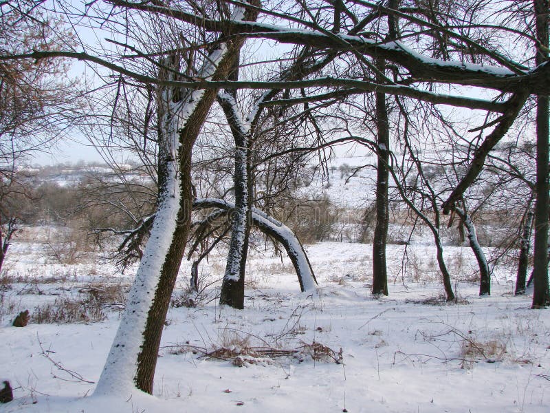 Winter Landscapes of the Southern Steppes of Ukraine in Zaporizhzhia ...