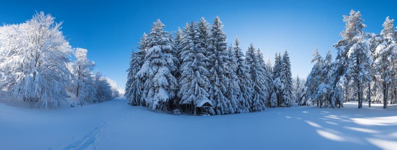 Winter Treeline Snowscape Stock Photos - Free & Royalty-Free Stock ...