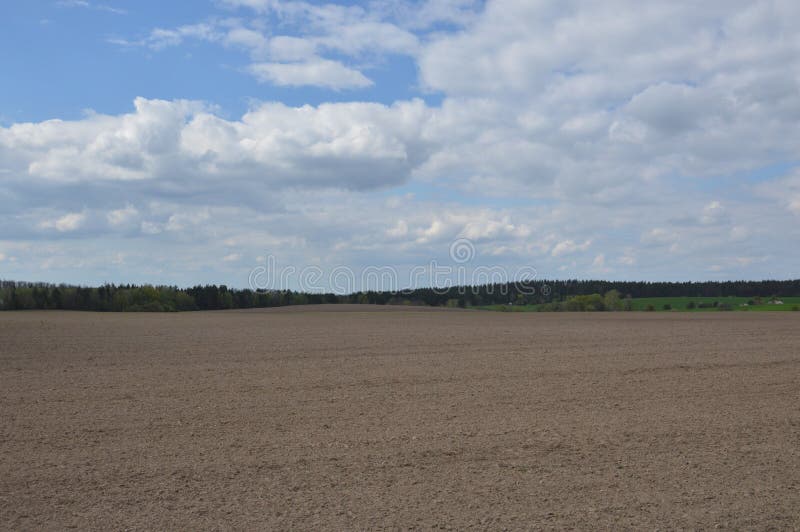 Panorama of a Spring Field Weeded by a Tractor Stock Image - Image of ...