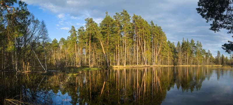 Panorama of the Spring River in the National Park Stock Image - Image ...