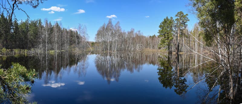 Panorama of the Spring River in the National Park Stock Photo - Image ...