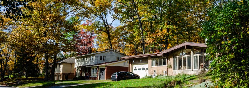Panorama of a Suburban Street with Tall Trees in the Fall Stock Image ...