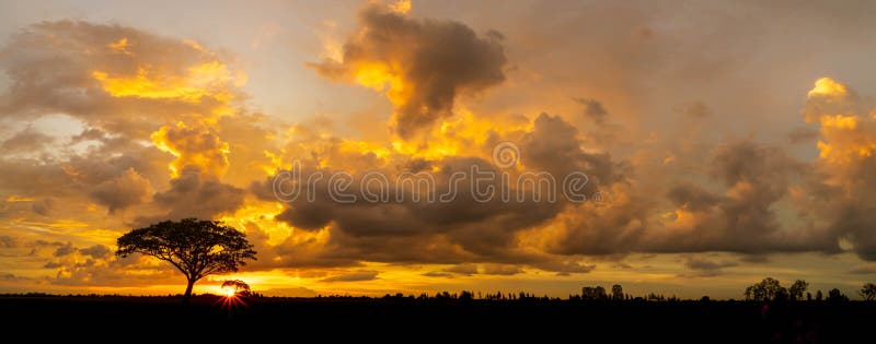 Panorama of Sunset Atmosphere with Shadows of Trees. Shadow Trees with ...