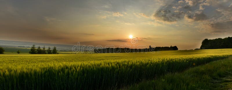 Panorama of Sunset Over the Field. Stock Photo - Image of sunlite ...