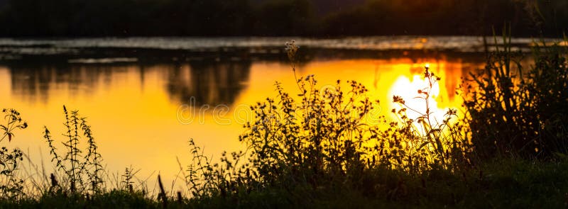 Panorama, Sunset on the River, Sun Reflection in the River Water Stock ...
