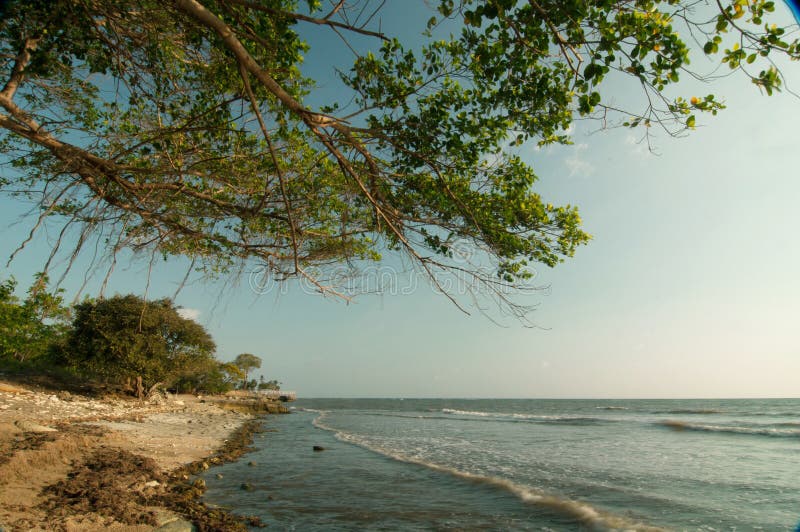 Topejawa Beach at Takalar Indonesia Stock Image - Image of sandeq ...
