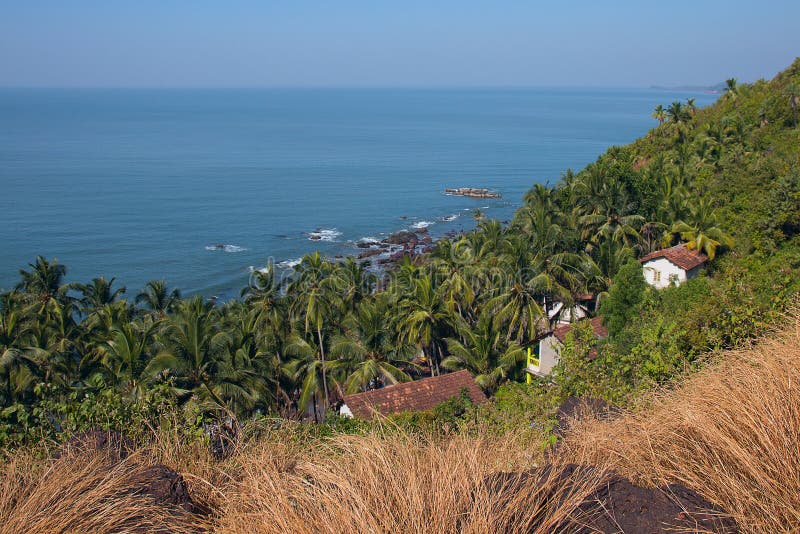 Panorama stock image. Image of tropical, panorama, palms - 54218983