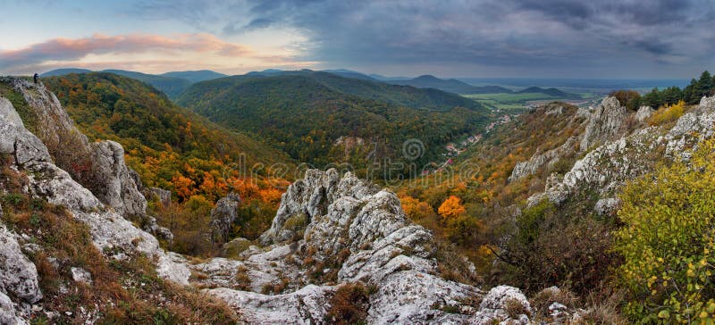 Panorama Van De Dalings Het Bosberg Stock Foto - Image of mannetje ...
