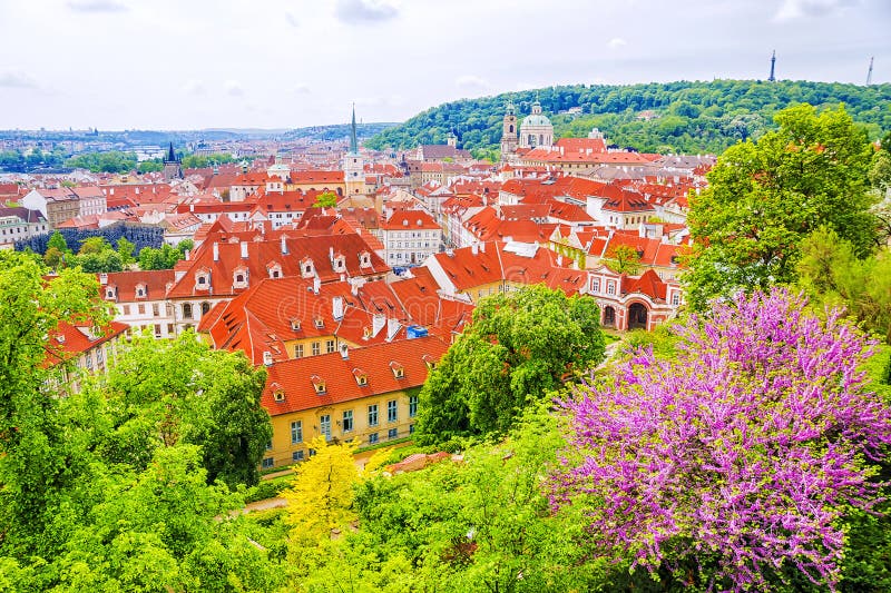 Lente Praag Met Gothic Castle En Groene Natuur En Bloeiende Bomen Uit ...