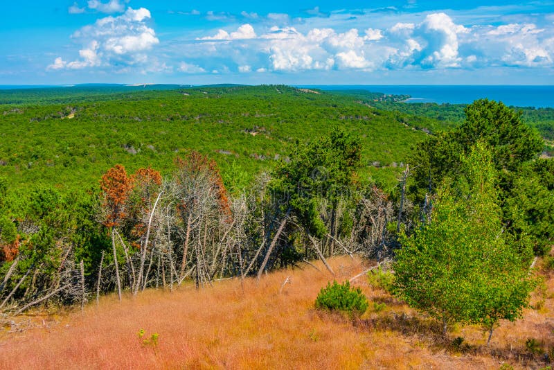 Panorama View of Curonian Spit Peninsula in Lithuania Stock Image ...