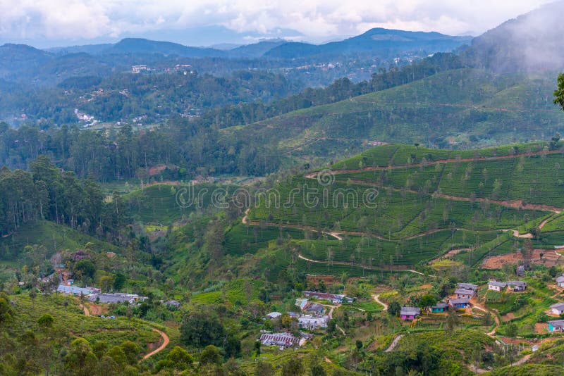 Panorama View of Haputale at Sri Lanka Stock Image - Image of haputale ...