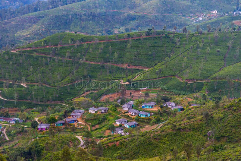 Panorama View of Haputale at Sri Lanka Stock Photo - Image of commodity ...