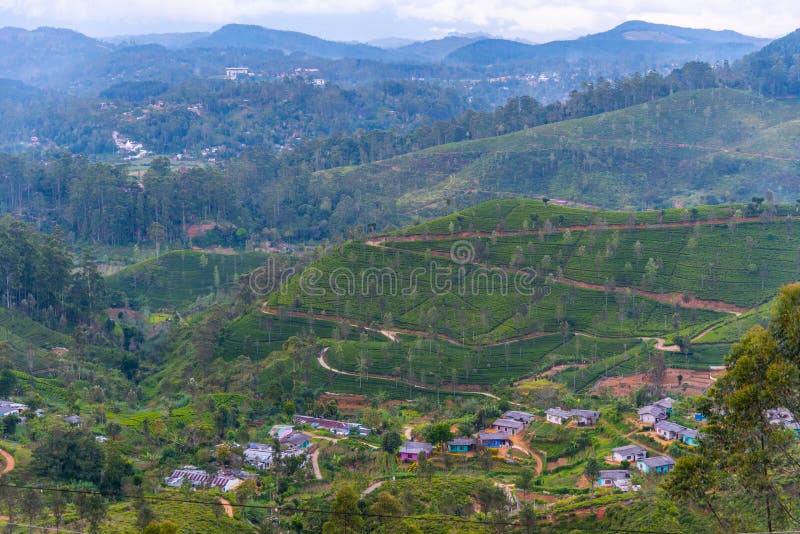 Panorama View of Haputale at Sri Lanka Stock Image - Image of haputale ...